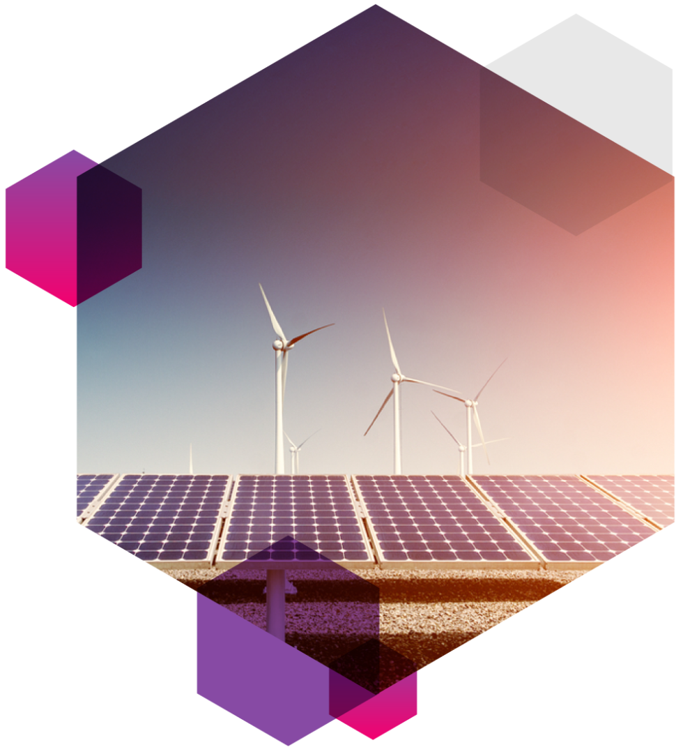 Green Recovery - Advanced Oxford